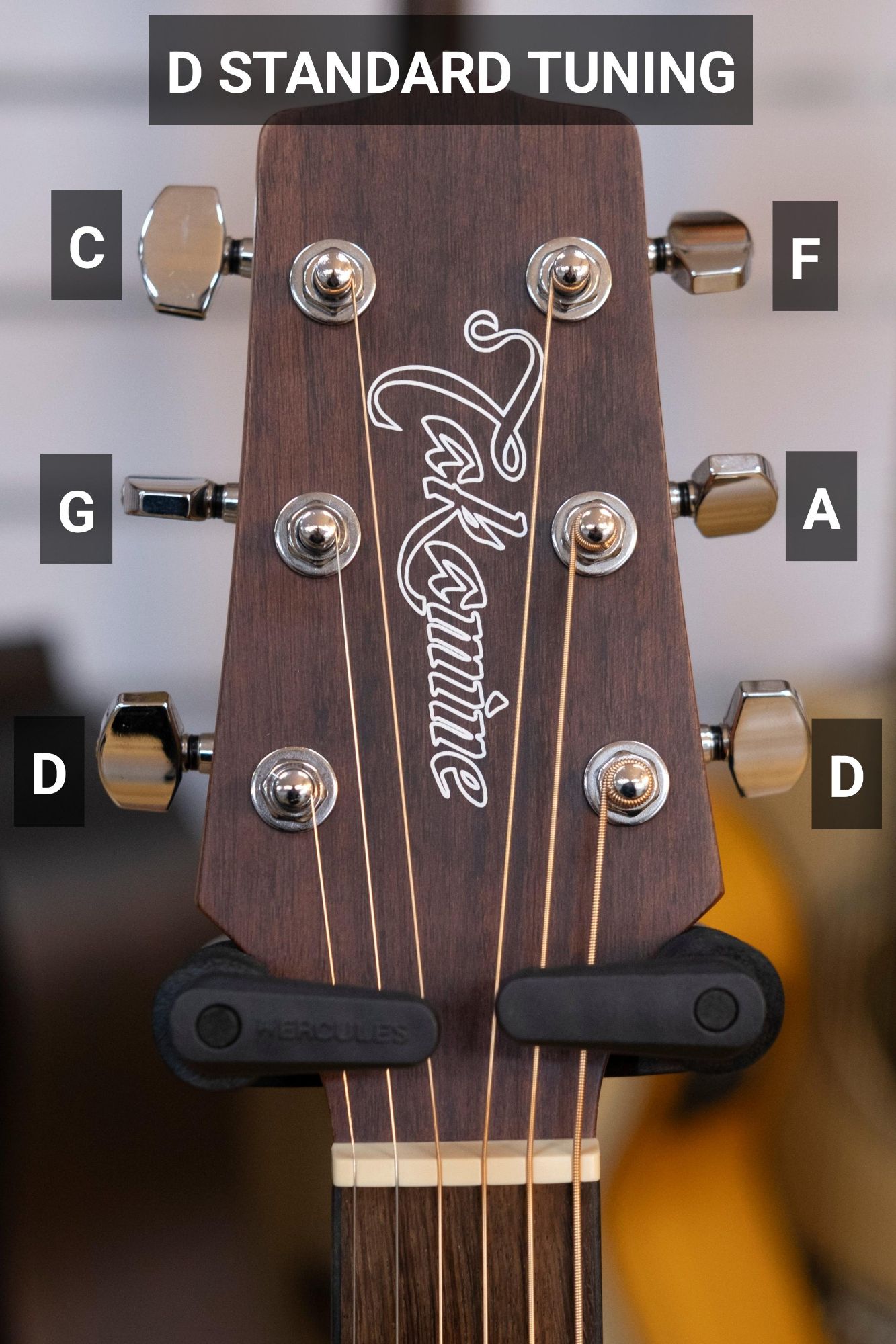 Understanding D Standard Tuning on Guitar: A Beginner’s Guide – Mike ...